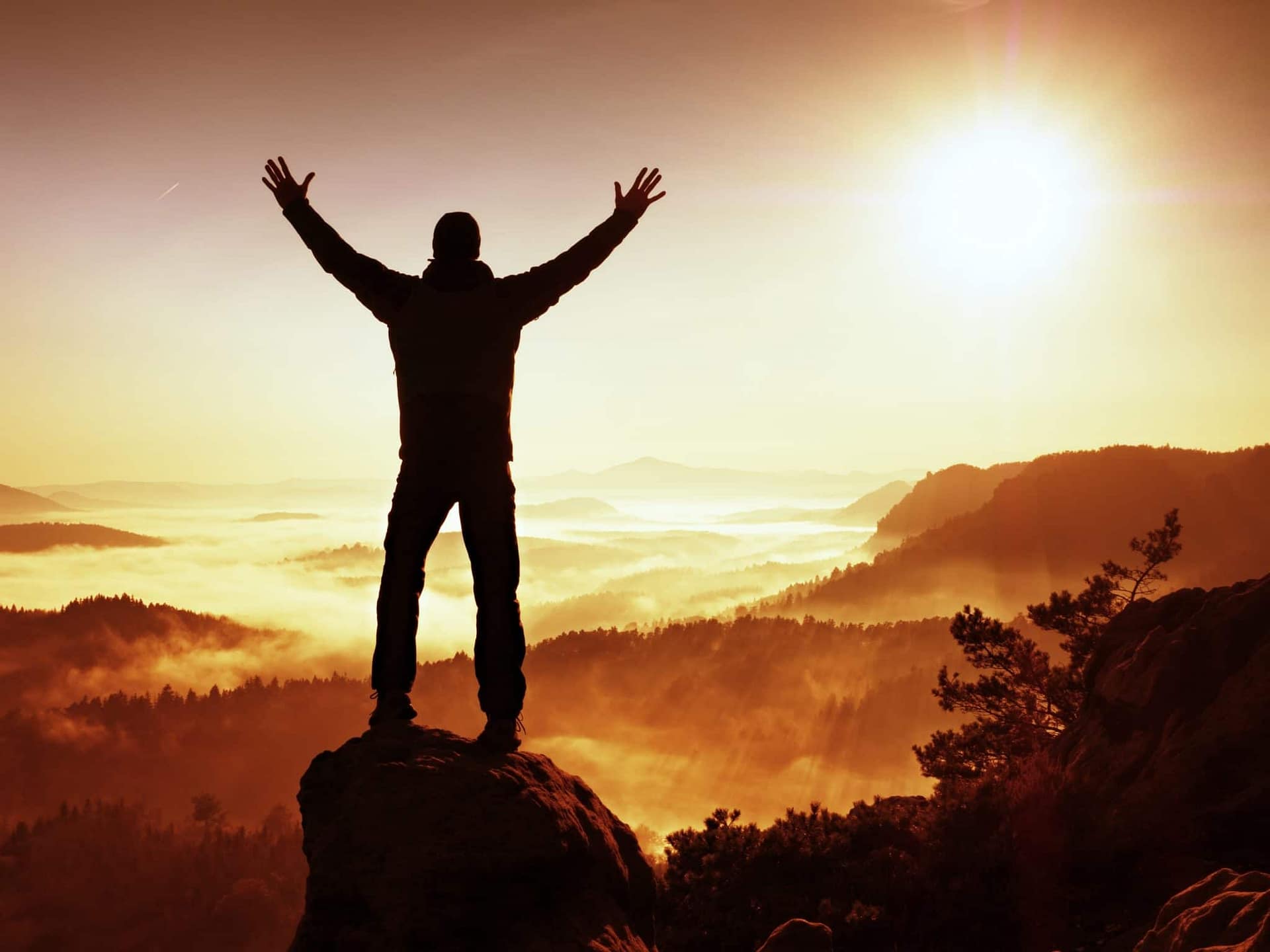 17 Empowering Quotes to Help You Overcome Your Problems - Vernon L ...